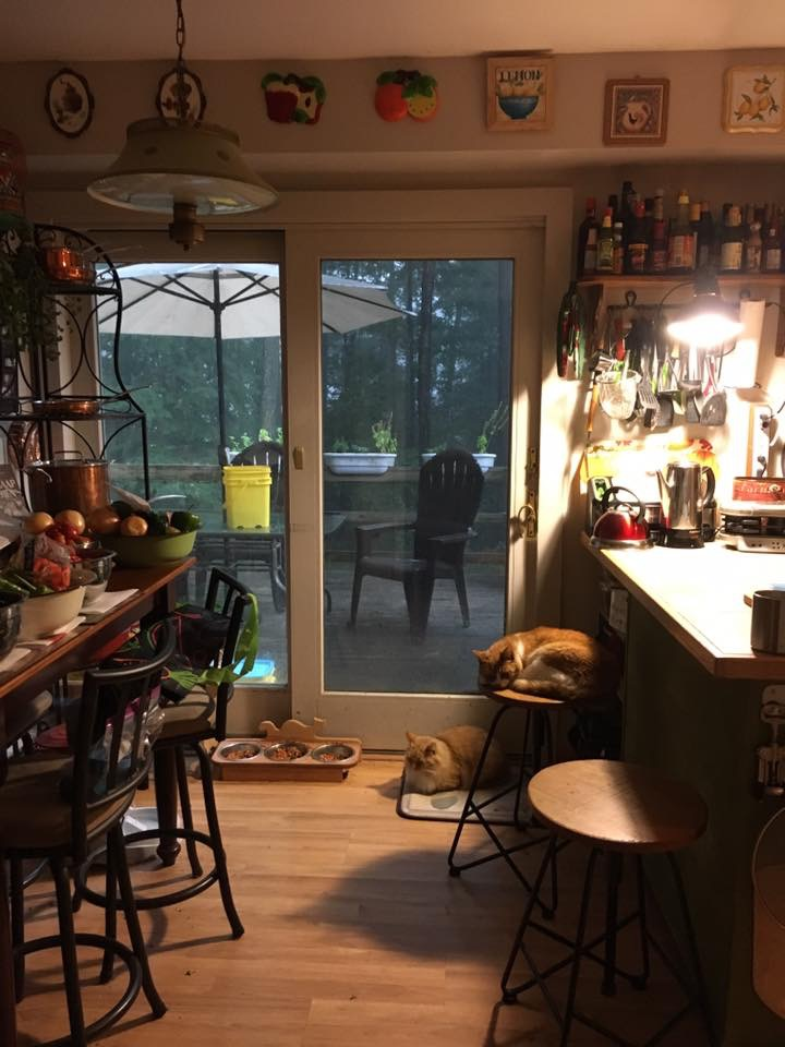 About – brendaslittlehouse.com